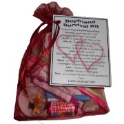 Single Person's Valentine's Day Survival Kit Gift - Great way to cheer ...