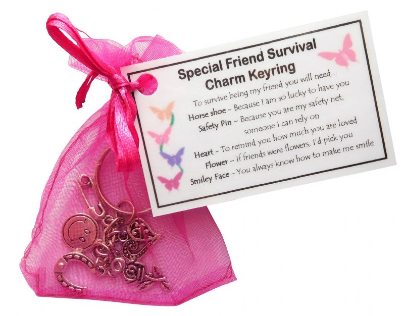 Special Friend Survival Charm Keyring - Handmade Special Friend Gift ...